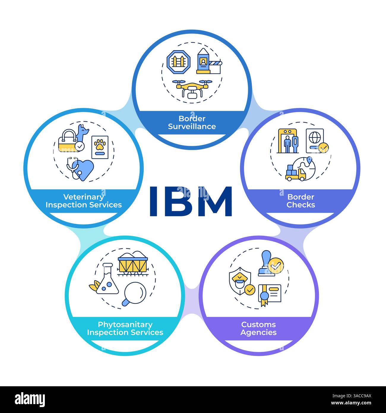 Integrated Border Management Infographic Circles Flowchart Stock Vector Image And Art Alamy