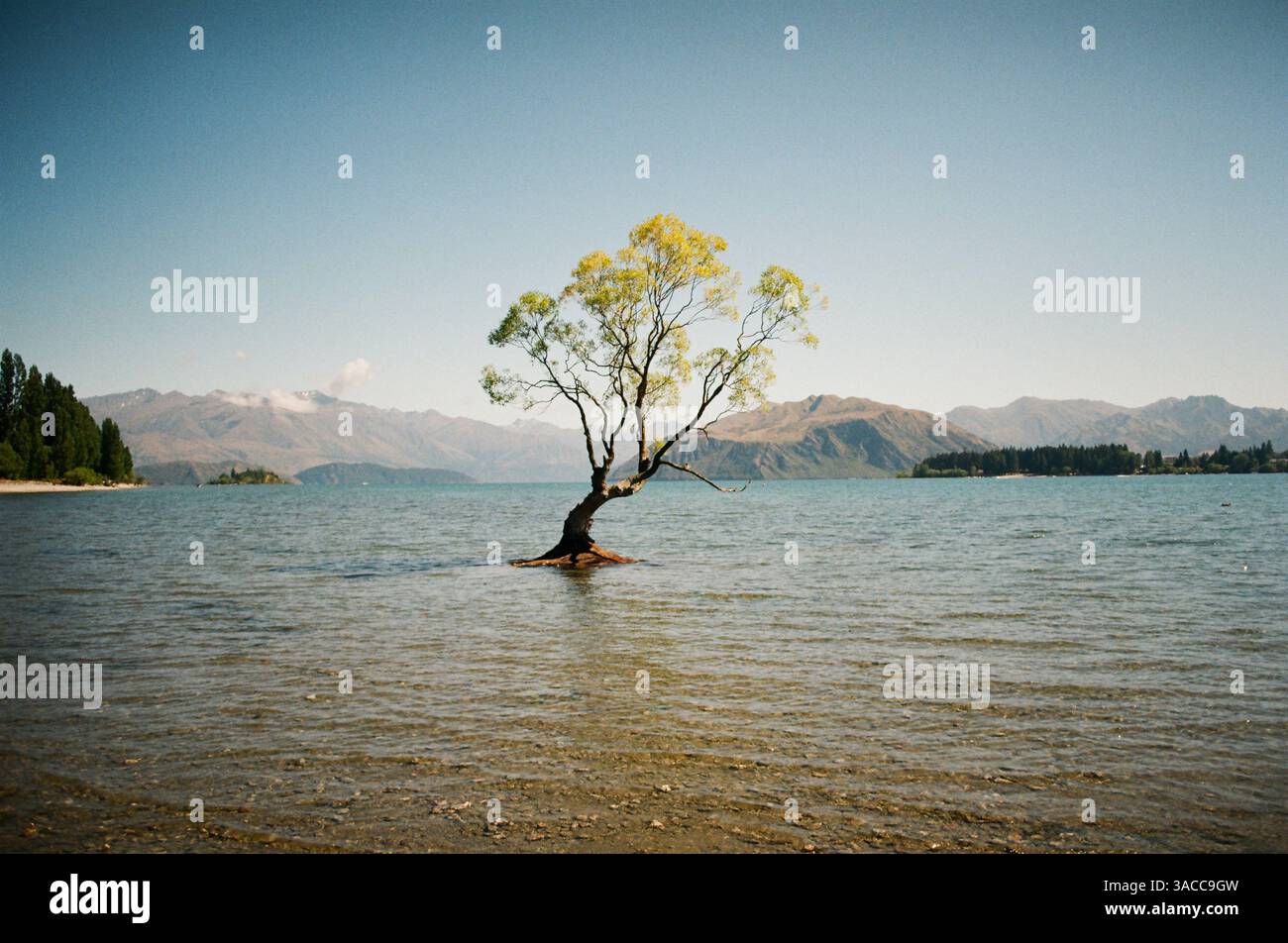 Kodak film simulation hi-res stock photography and images - Alamy