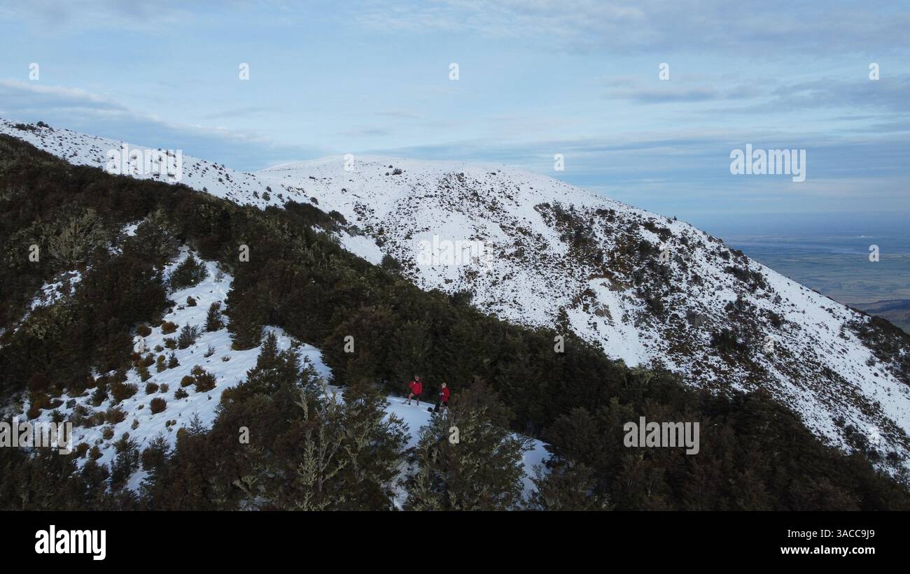 Hikers walking through snowy alpine forest in Canterbury high country ...
