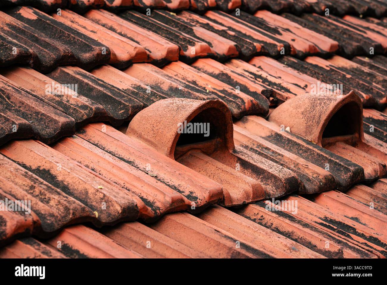 Close-up of old terracotta roof tiles with rich textures, reflecting ...