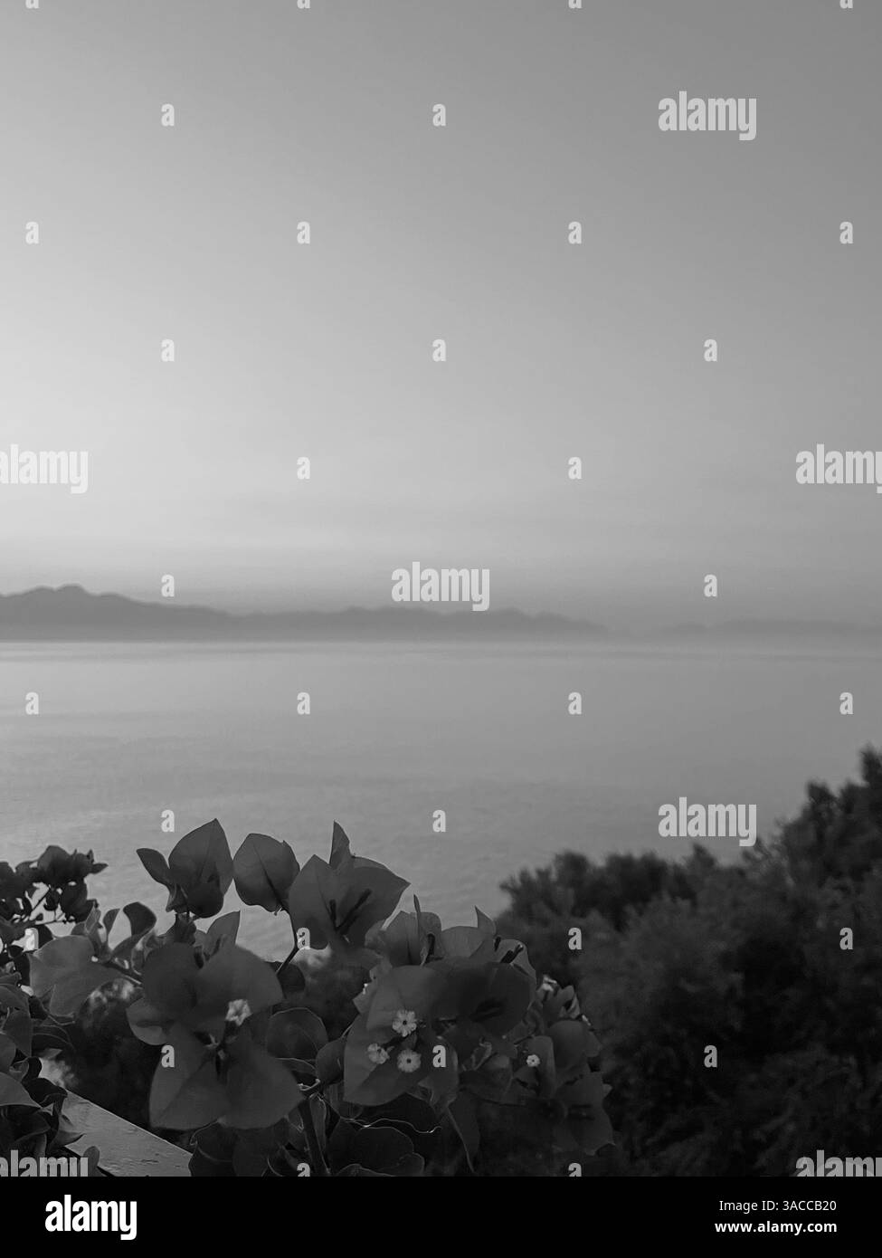 Calm sea waters on Black and White Stock Photos & Images - Alamy