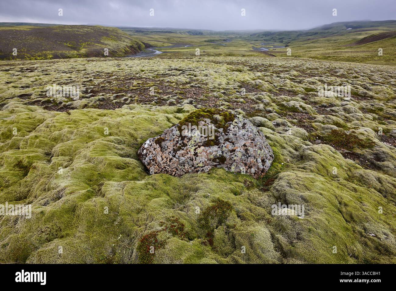 Mossy landscape and river in Lakagigar. Volcanic area. Iceland Stock ...