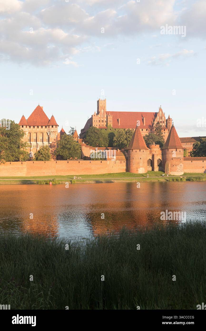 Poland, Malbork, Malbork Castle reflected in the river Nogat, one of ...