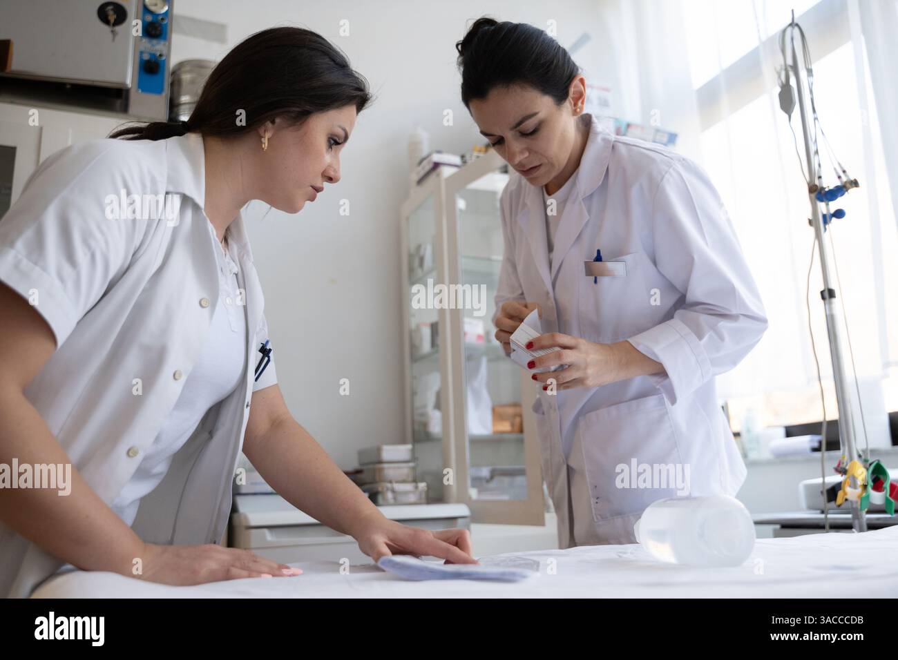 Two nurses in a hospital laboratory are carefully inspecting and ...