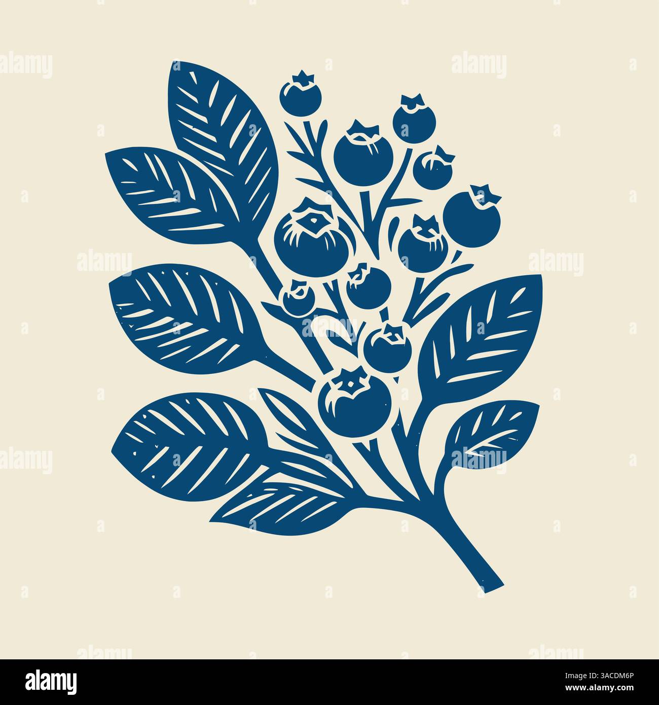 A vintage-style illustration of a blueberry plant, perfect for nature ...