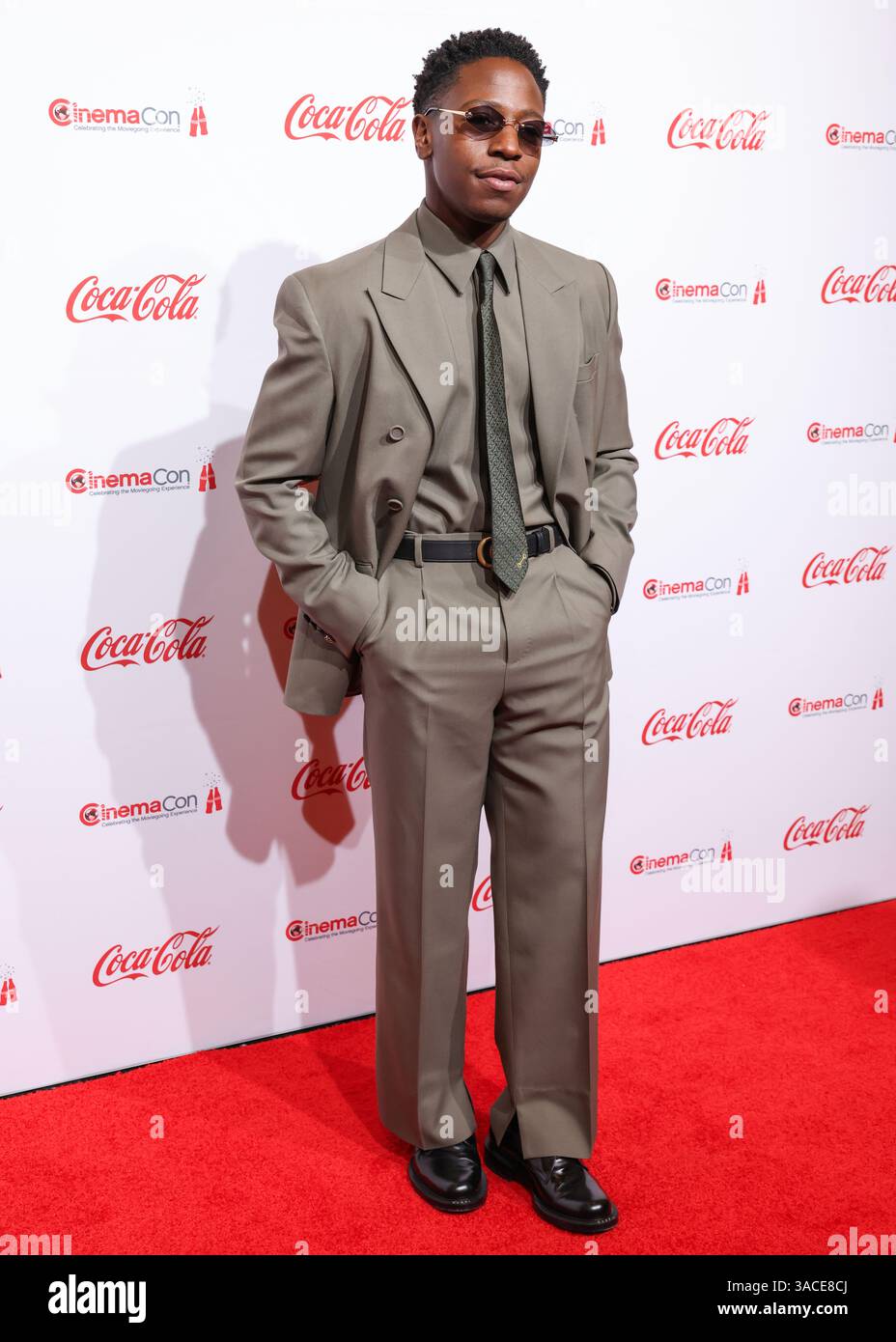 LAS VEGAS, NEVADA, USA - APRIL 03: British actor and writer David ...