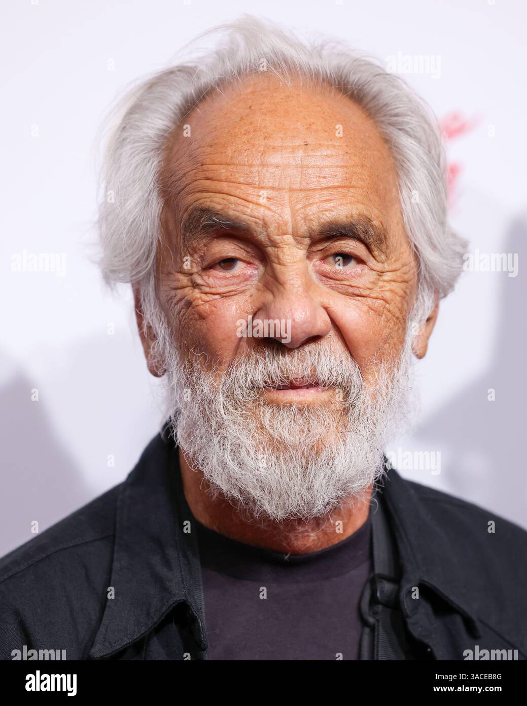 Las Vegas, United States. 03rd Apr, 2025. LAS VEGAS, NEVADA, USA ...