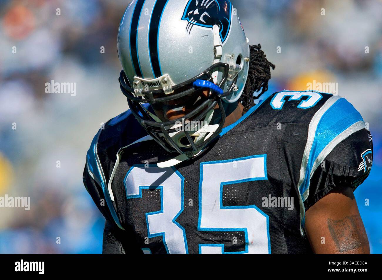 Caroilna panthers hi-res stock photography and images - Alamy