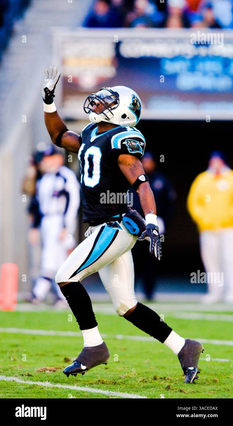 Caroilna panthers hi-res stock photography and images - Alamy