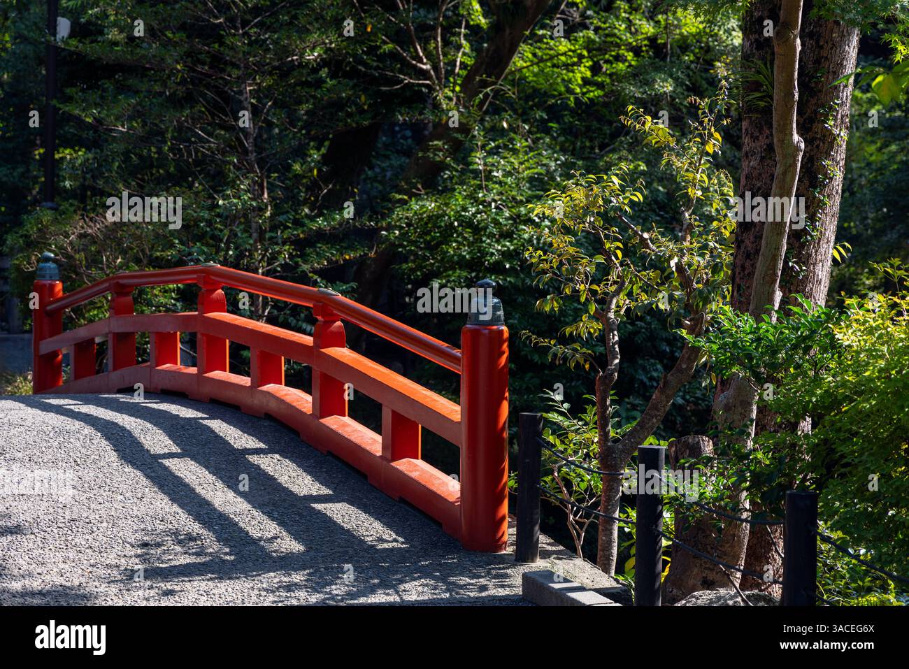 Traditional red wooden bridge at Tsurugaoka Hachimangu Shrine in ...
