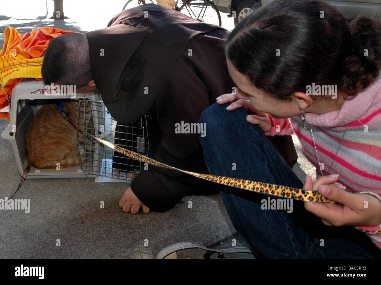 Covedale hi-res stock photography and images - Alamy