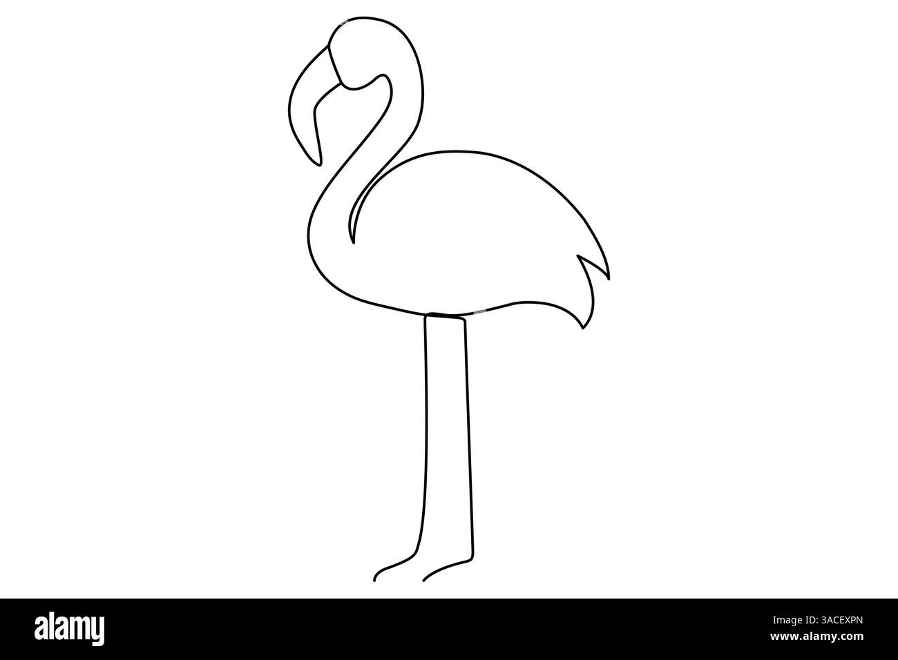 Continuous one line drawing of flamingo bird concept Editable outline ...