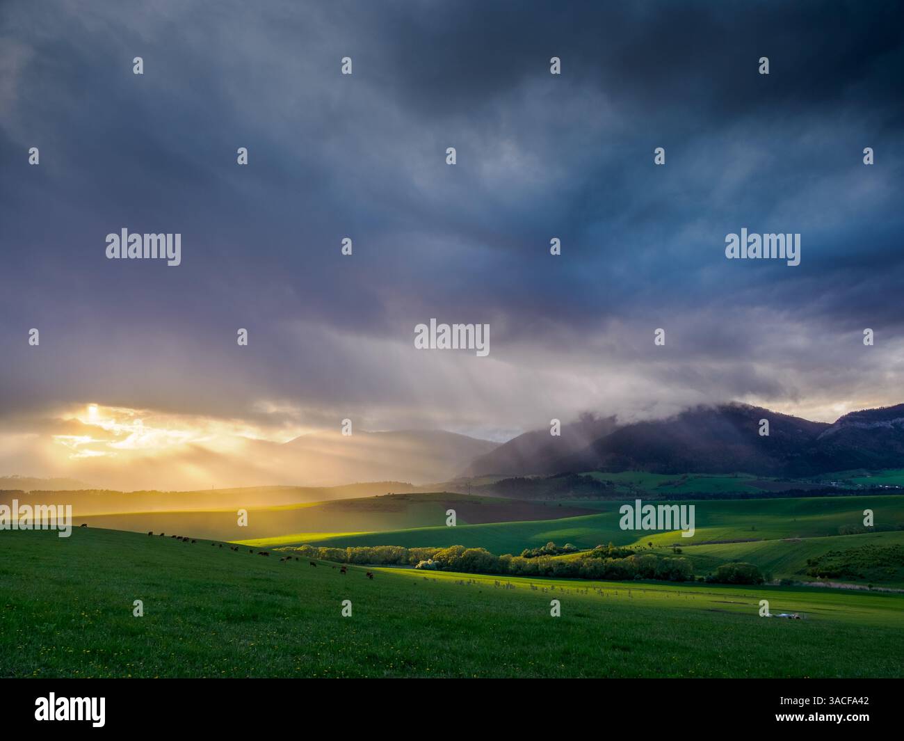 Hocz hi-res stock photography and images - Alamy