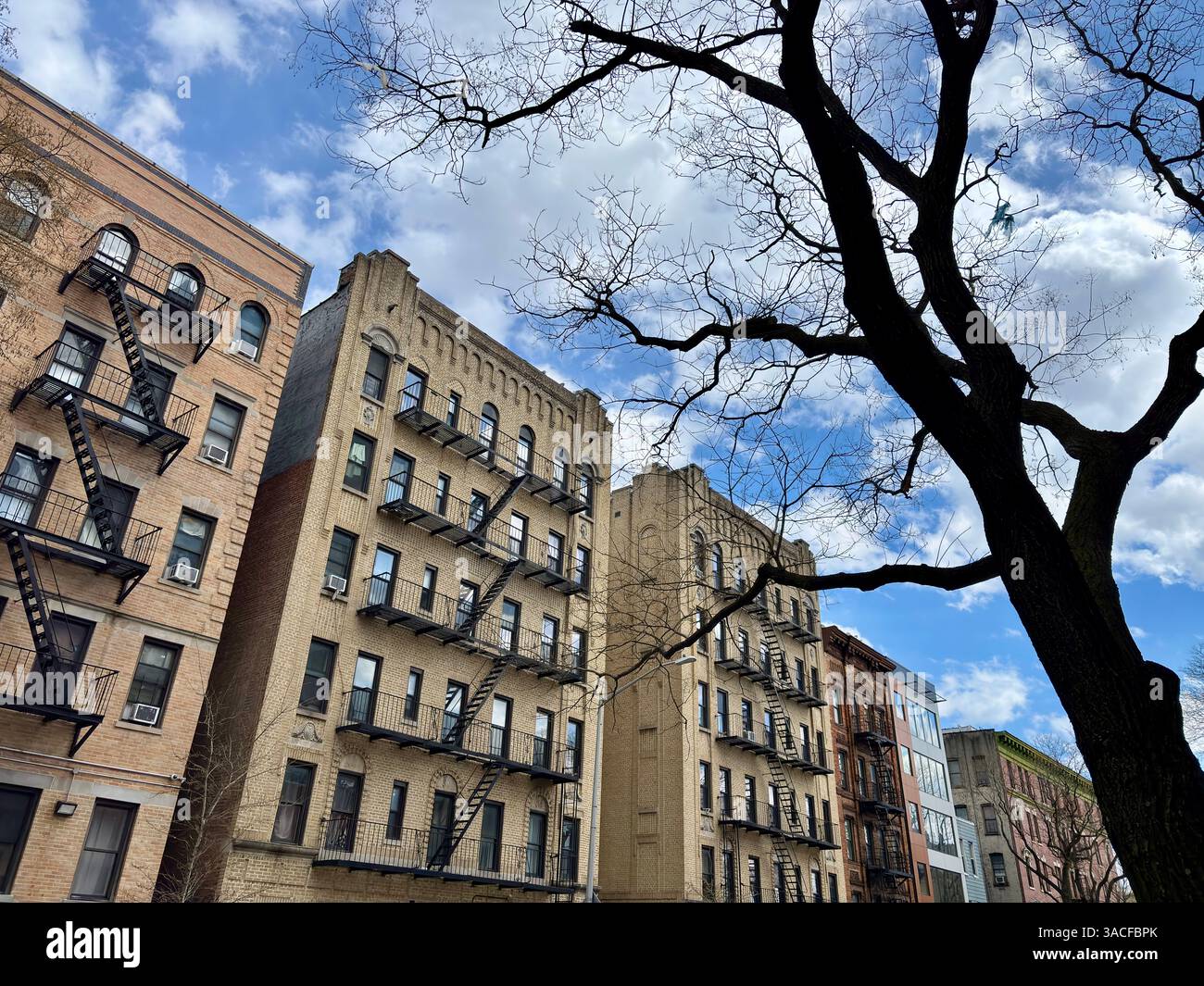 Historic Manhattan apartment buildings with fire escapes and tree Stock ...