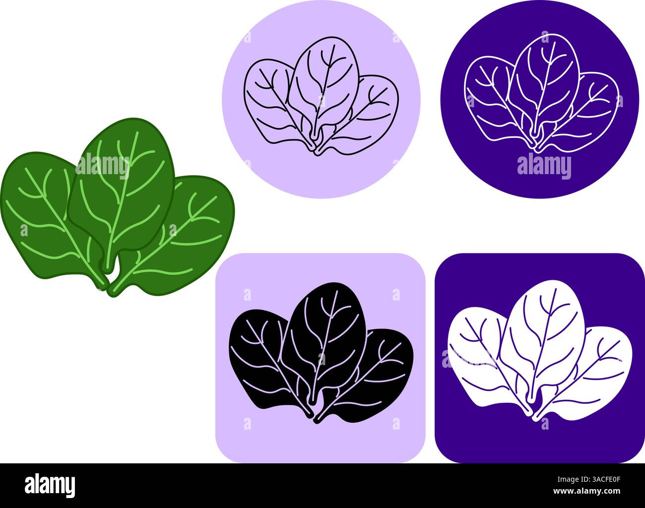 spinach three leaves logo. Vector flat line icon linear logo mark in ...