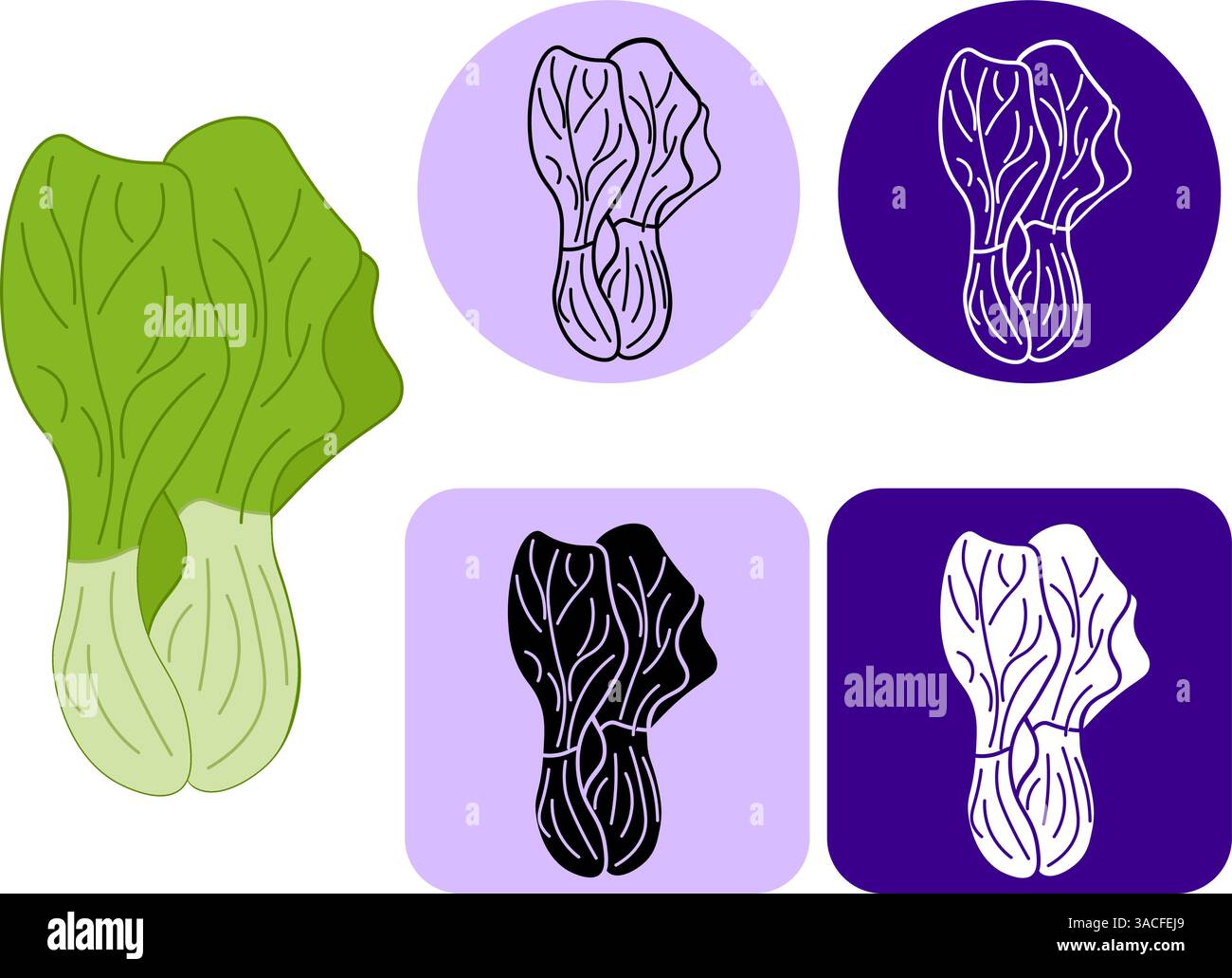 Green pak choi leaves Stock Vector Images - Alamy