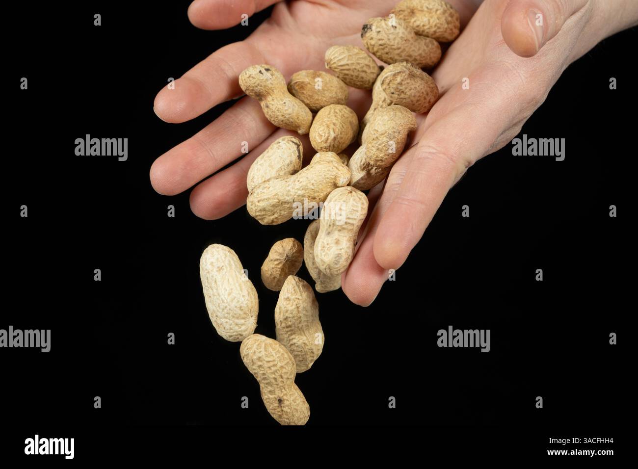 Hands pouring whole unpeeled peanuts, black background Stock Photo - Alamy