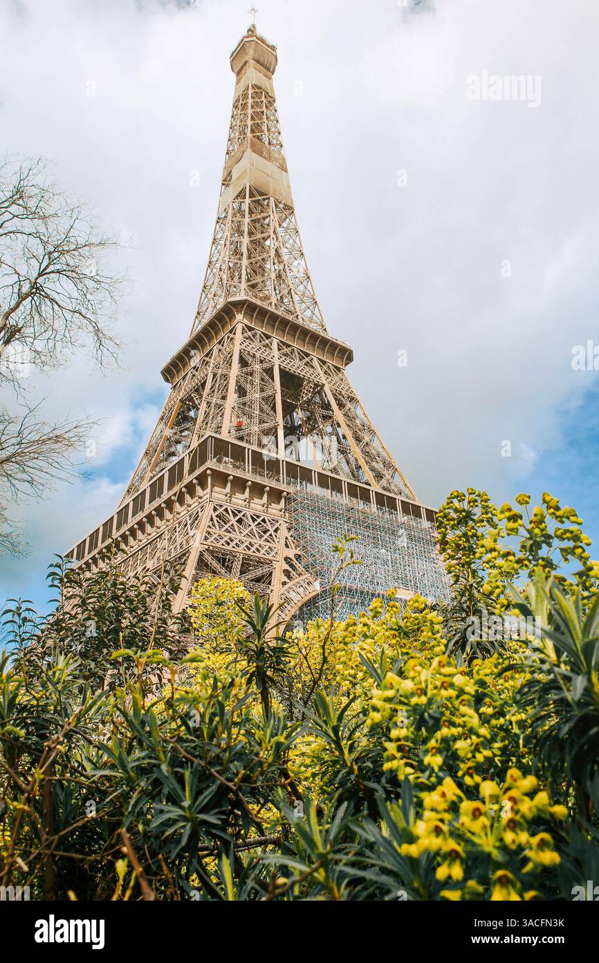 Artistic composition flowers clouds hi-res stock photography and images ...