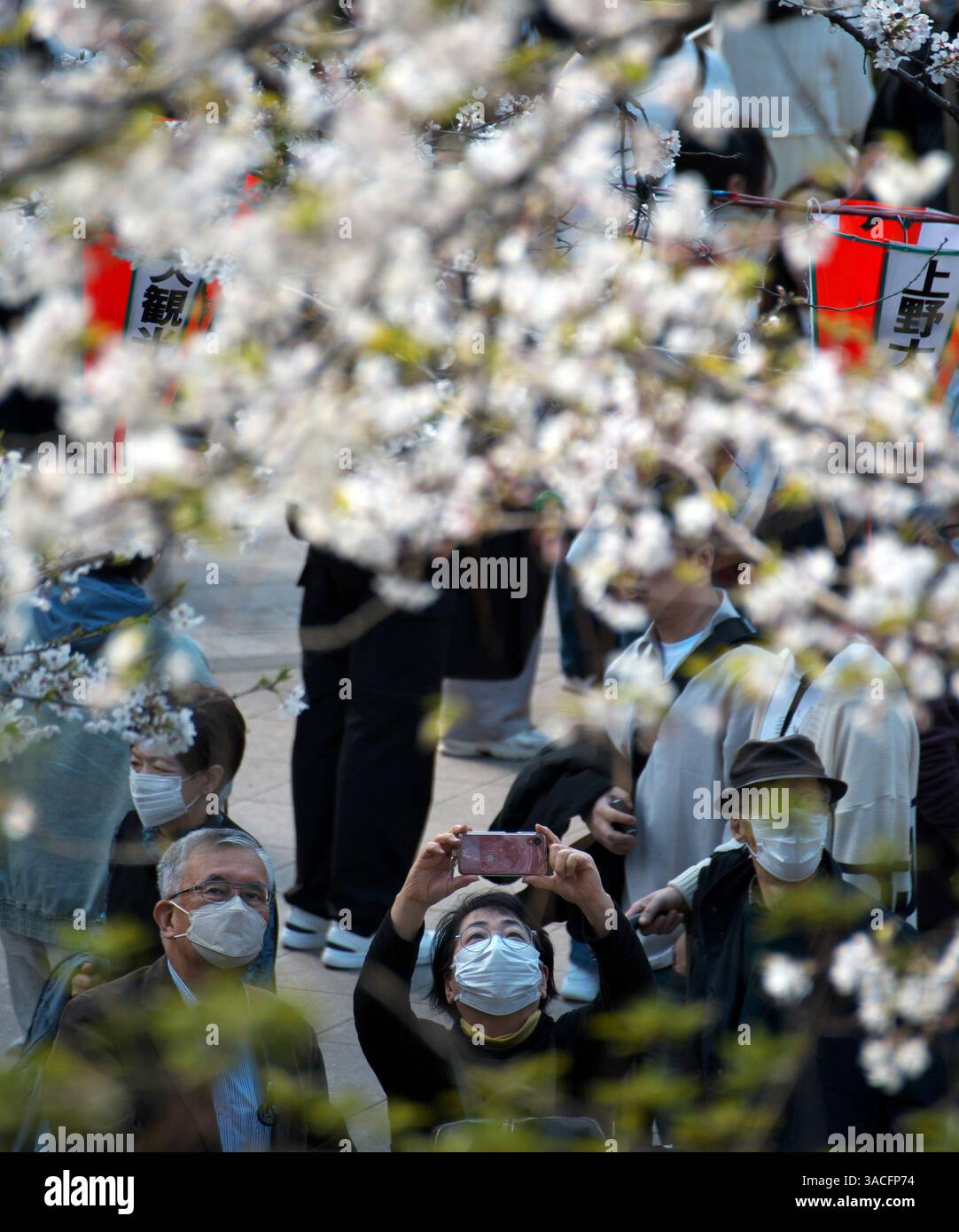 Tokyo, Japan. 04th Apr, 2025. People take photos cherry blossoms at the ...