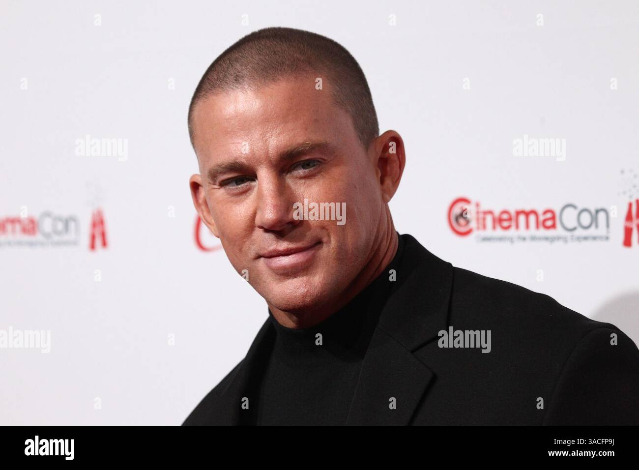 Distinguished Decade of Achievement in Film award recipient Channing ...