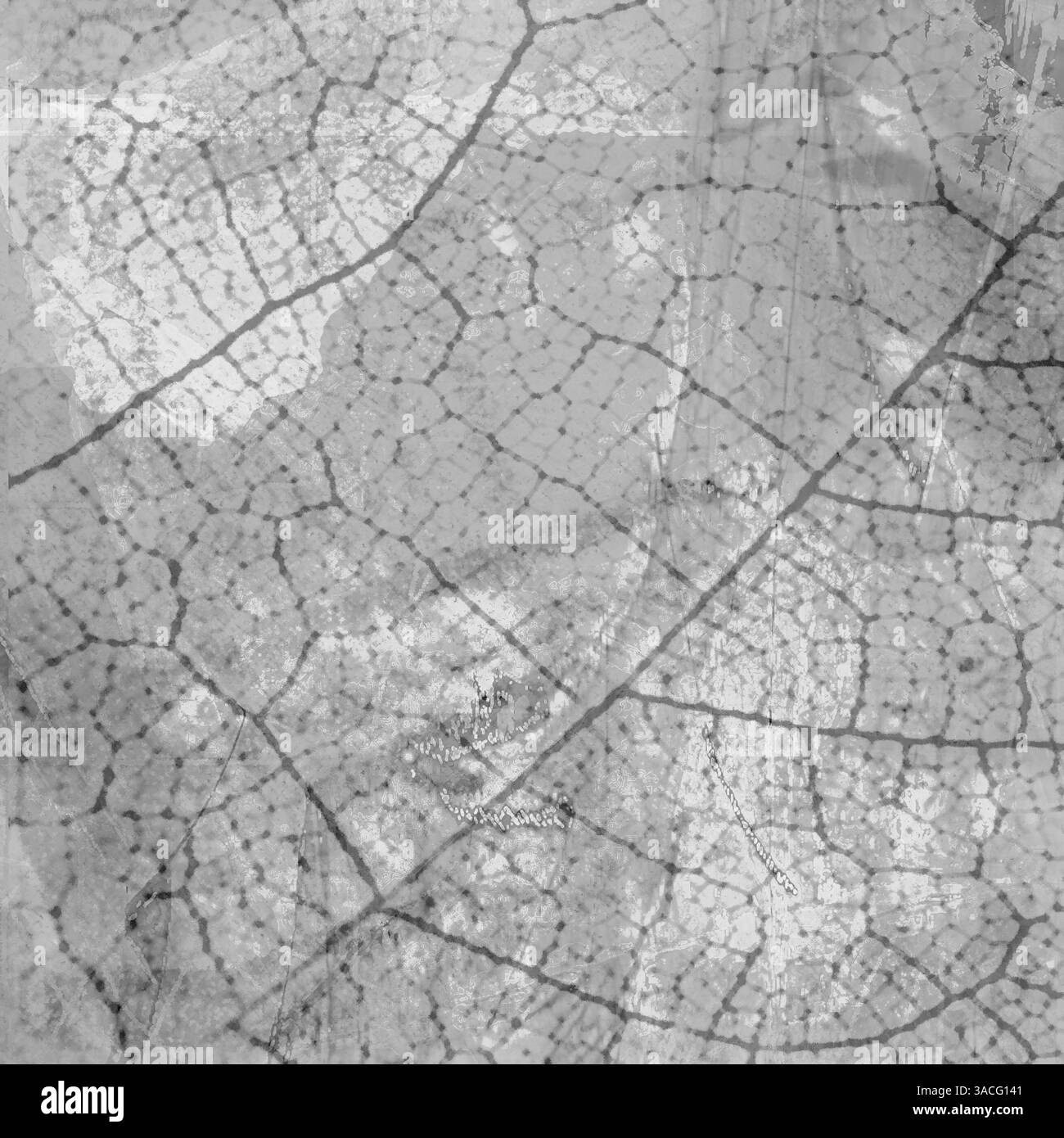 Gradients colors Black and White Stock Photos & Images - Alamy