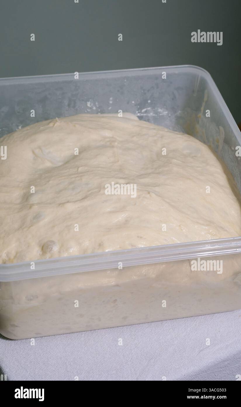 Homemade bread dough rising in transparent plastic container. Closeup ...