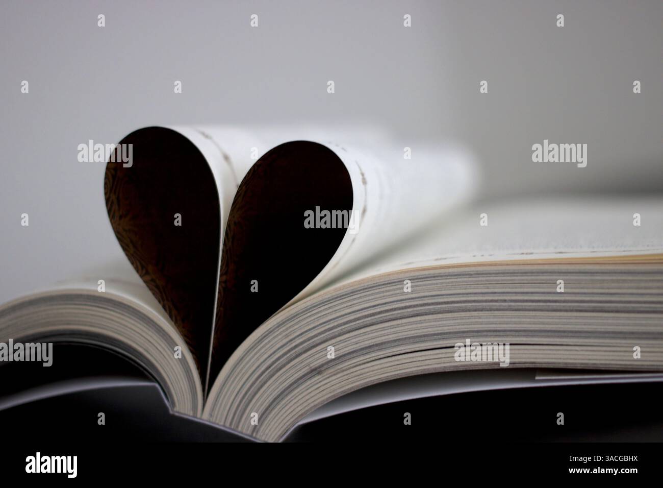 Open book with visible pages and text, captured in a well-lit setting ...