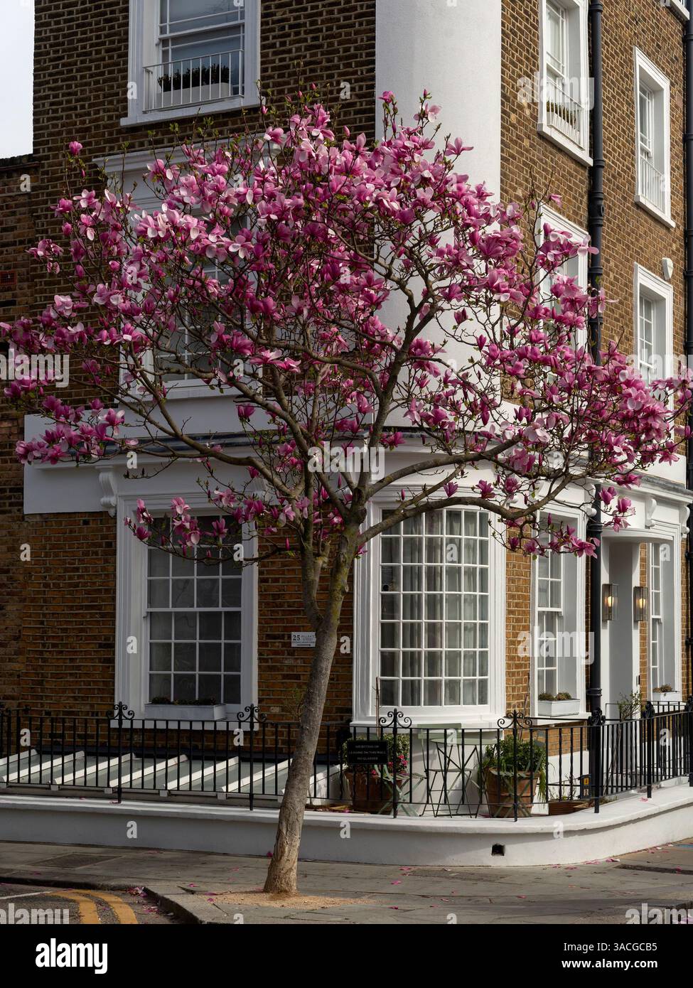 LONDON, UK - MARCH 29, 2025: Pretty Georgian house on corner of ...