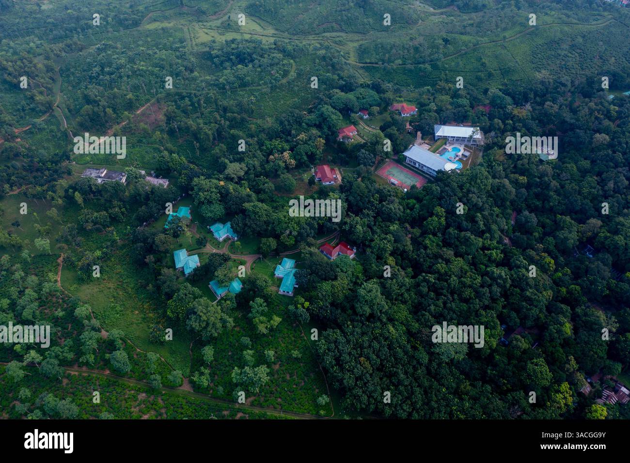 Aerial view of Tea Resort, a scenic modern leisure retreat nestled ...
