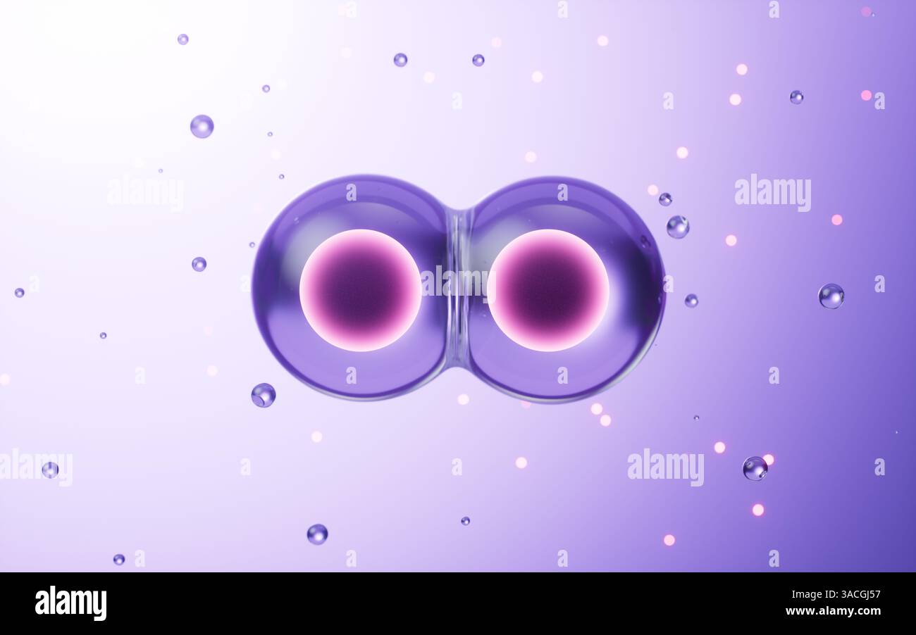 Cells division, Cell divides into two cells, biology and medicine ...