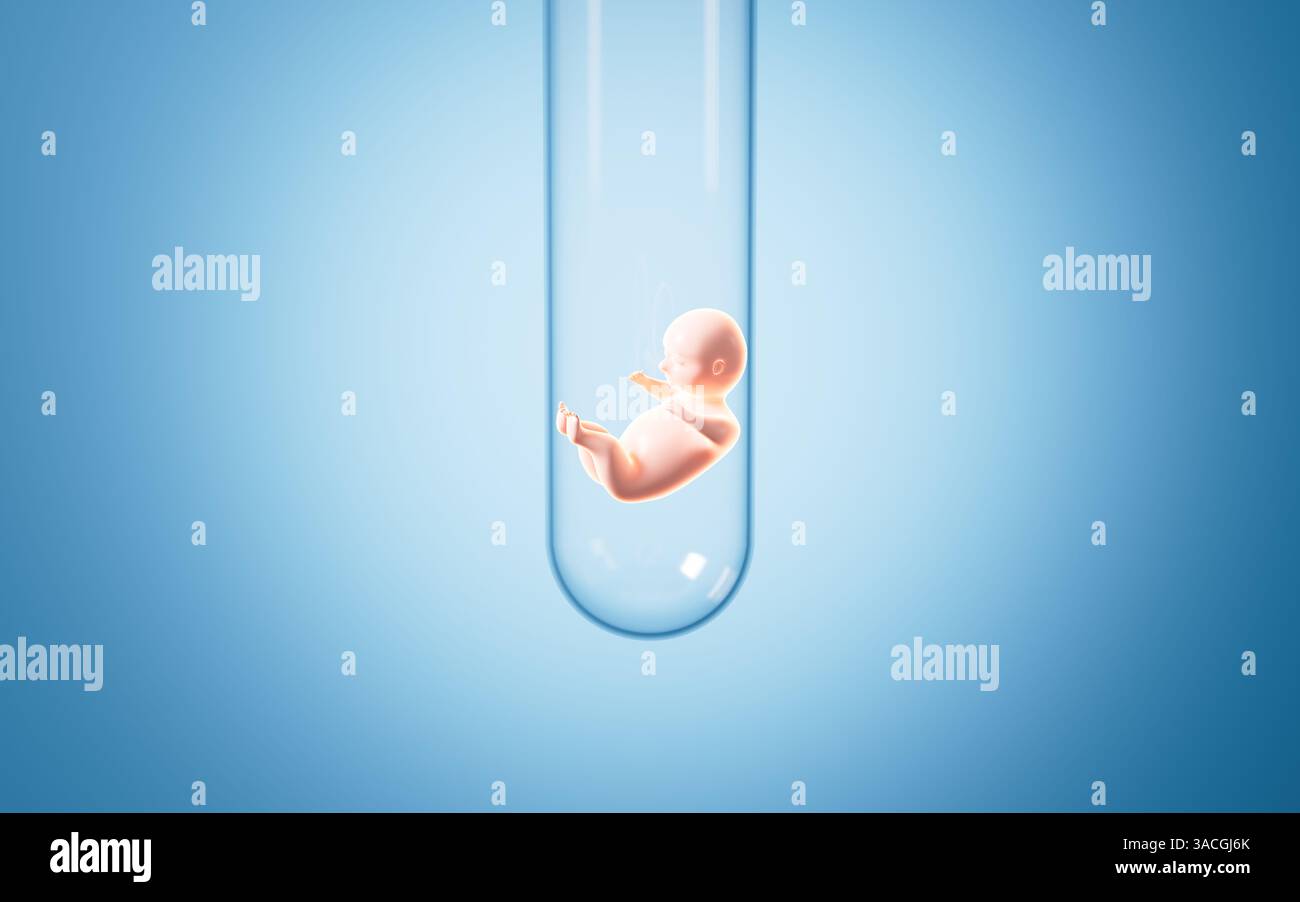 Human embryo model, test tube baby , 3d rendering. 3d illustration ...