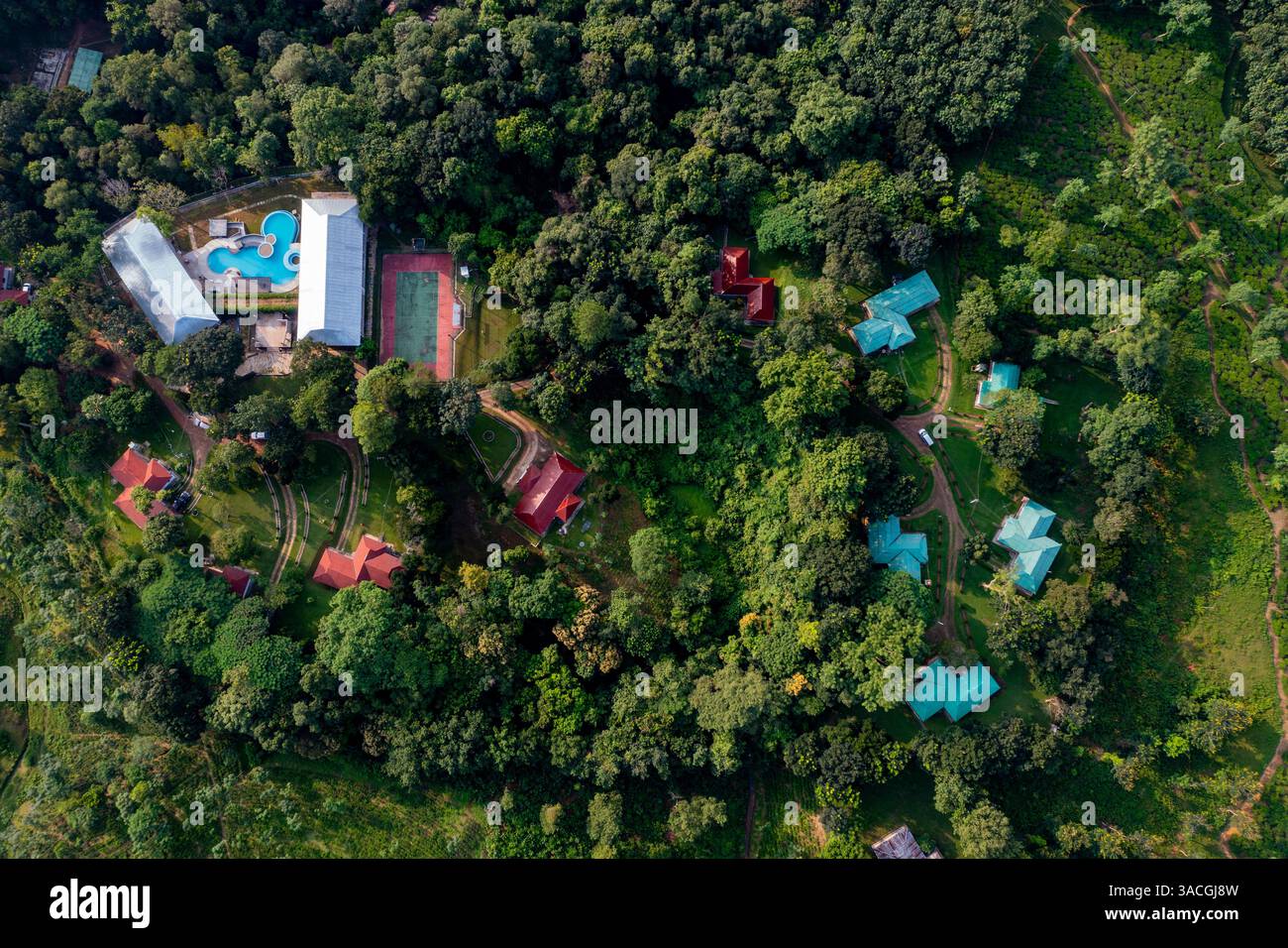 Aerial view of Tea Resort, a scenic modern leisure retreat nestled ...