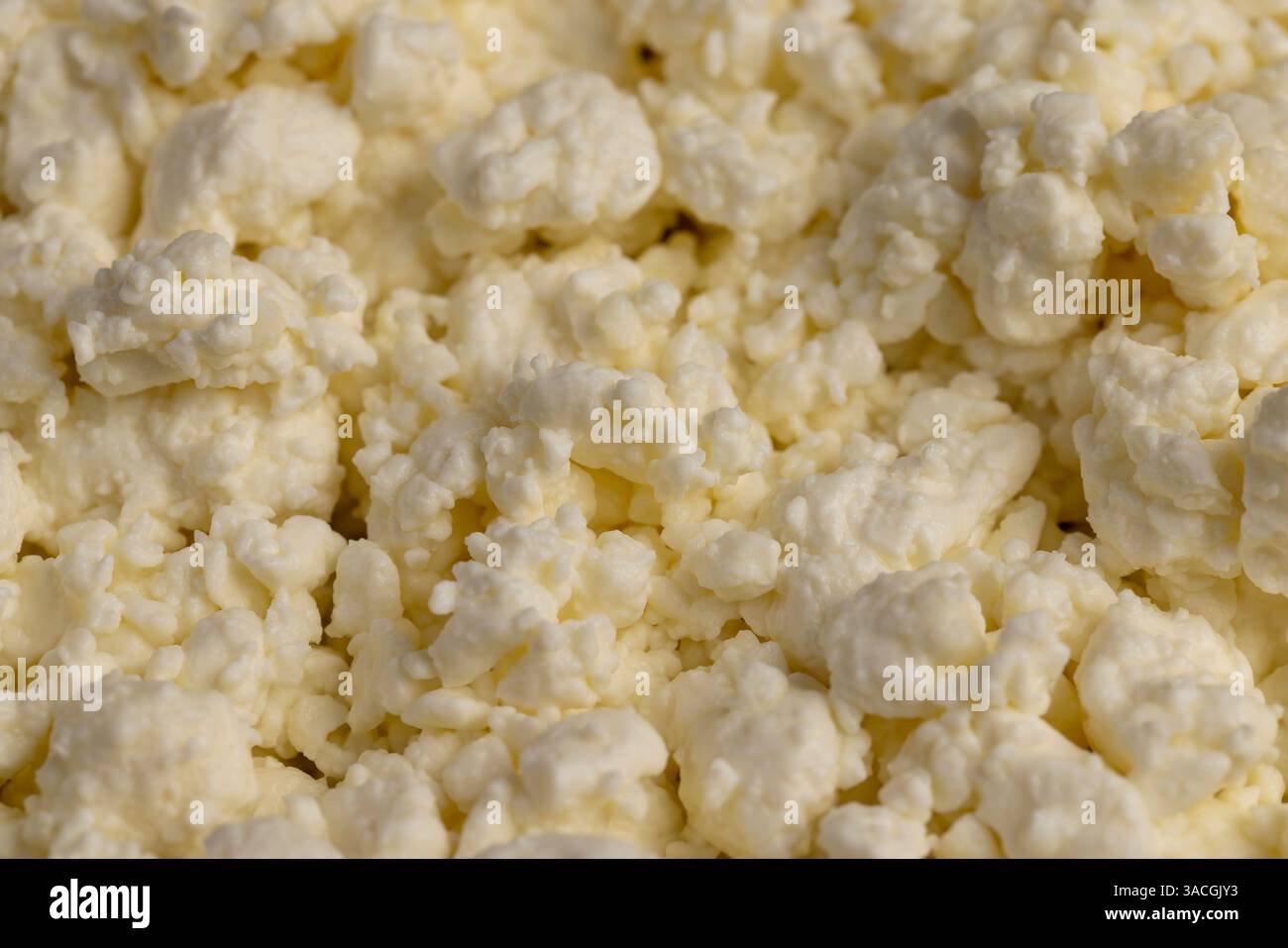 cottage cheese from milk in the form of lumps of white color, lumps of ...