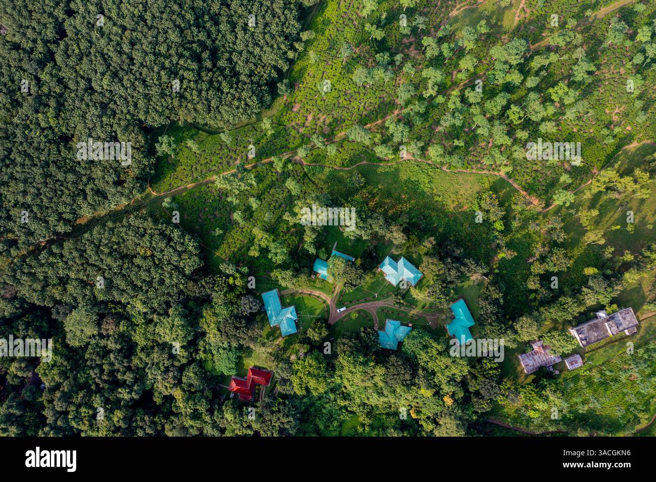 Aerial view of Tea Resort, a scenic modern leisure retreat nestled ...