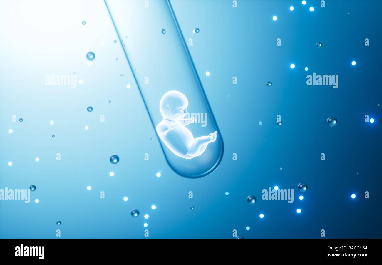 Human embryo model, test tube baby , 3d rendering. 3d illustration ...
