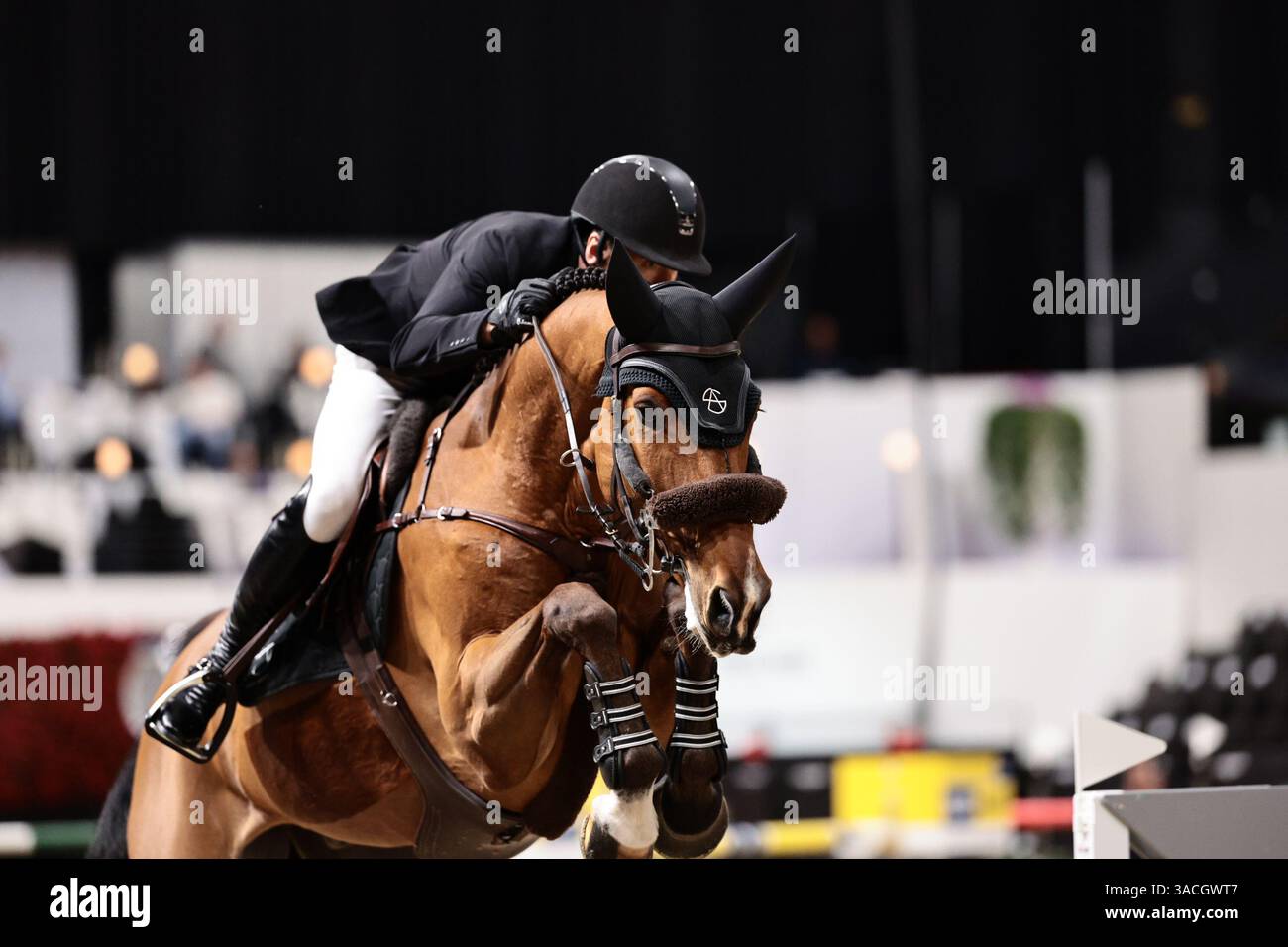 Andreas Schou of Denmark with Billy Matador during the Prize of Gerüstbau Nordwest at the FEI ...