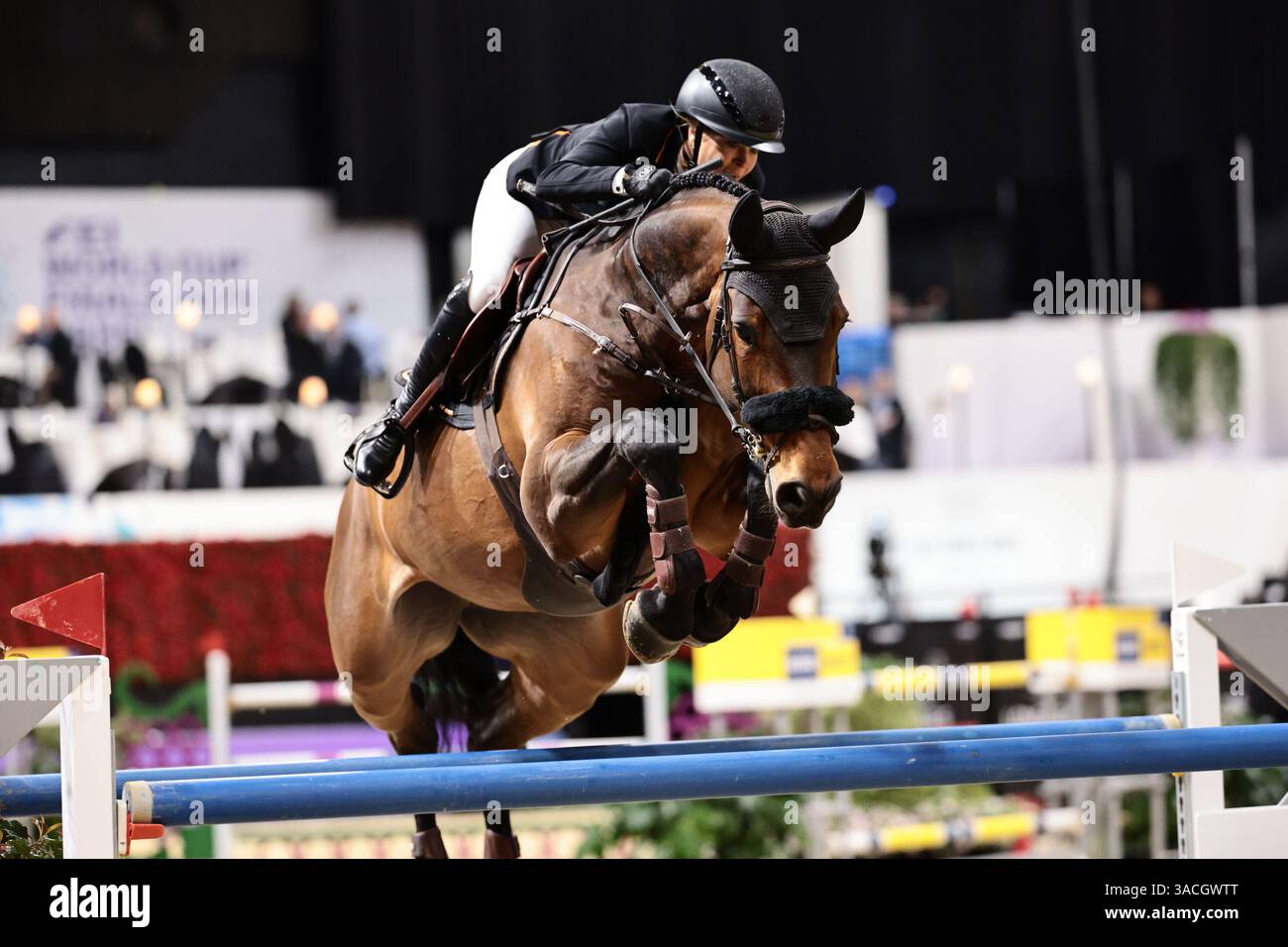 Annelies Vorsselmans of Belgium with C. Kulottie W Z during the Prize of Gerüstbau Nordwest at ...