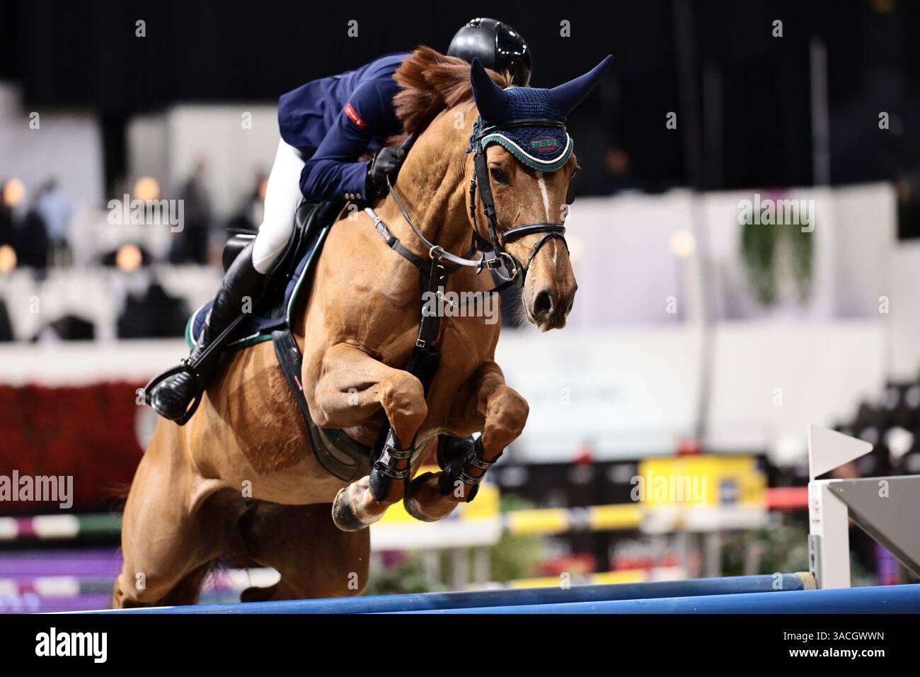 Mario Stevens of Germany with Carrie 22 during the Prize of Gerüstbau ...