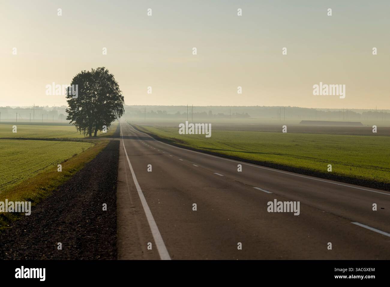 an asphalt road in a foggy morning with cars in the distance and one ...