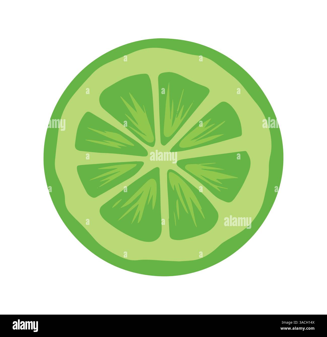 Cucumber slice cross section with seeds, flat color vector icon. Ideal ...