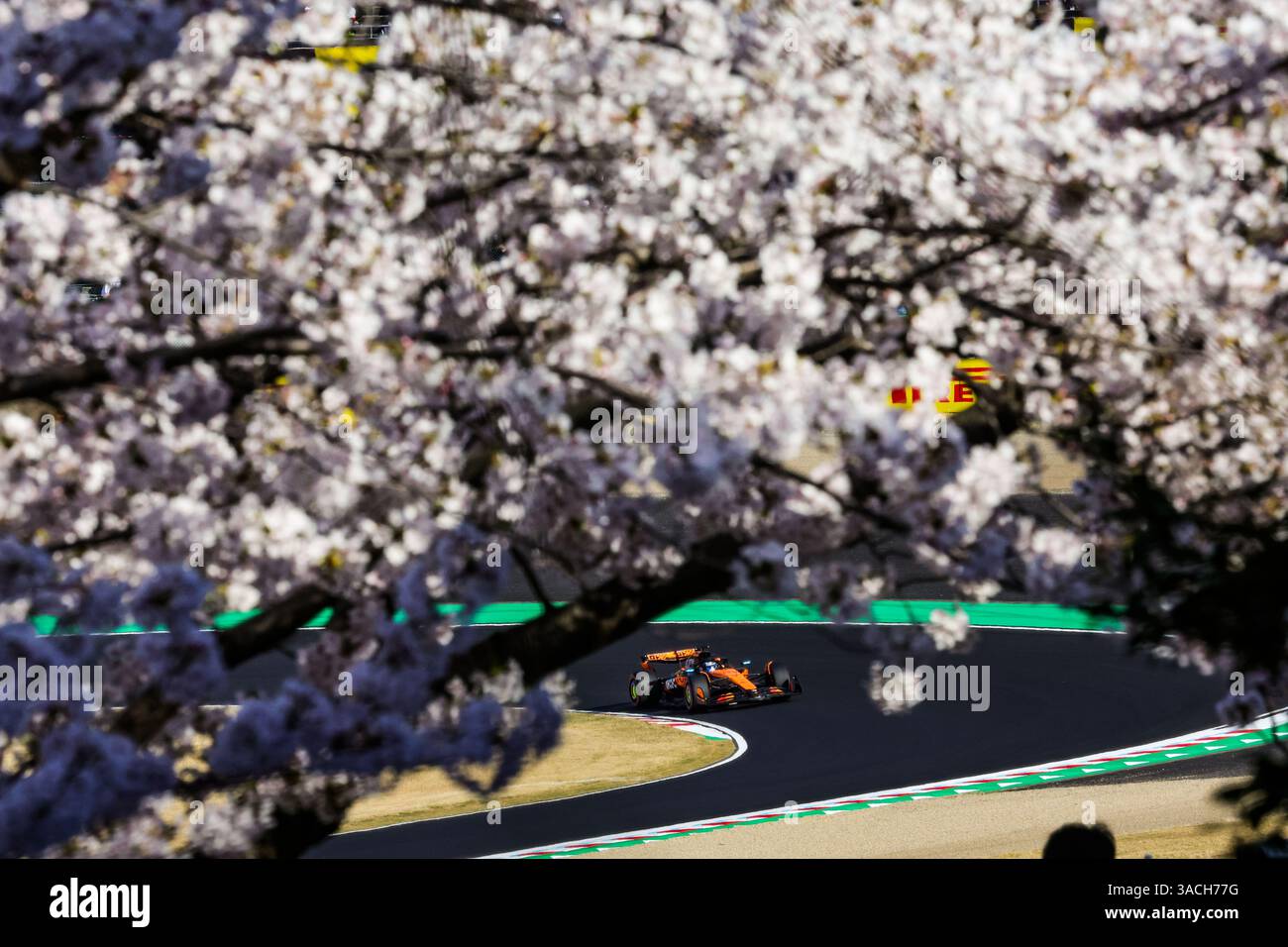 81 PIASTRI Oscar (aus), McLaren F1 Team MCL39, action during the Formula 1 Lenovo Japanese Grand ...