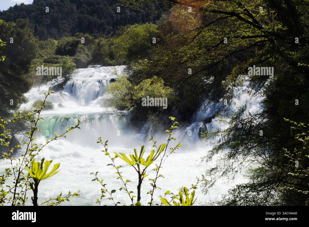 Natural waterfalls on the river Krka, Croatia. Peace and relaxation in ...