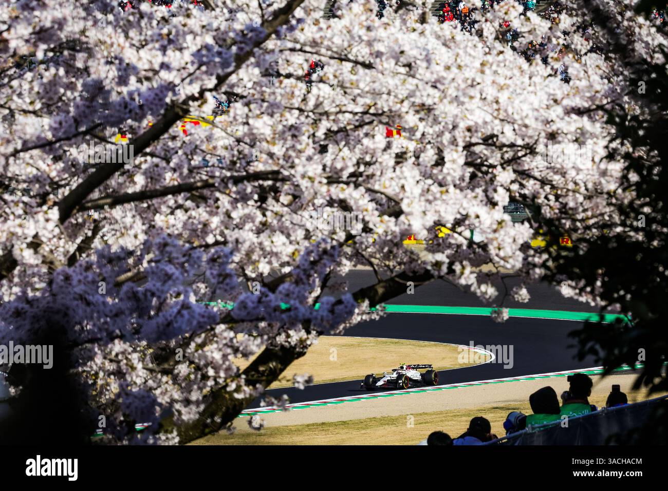 22 TSUNODA Yuki (jap), Red Bull Racing RB21, action during the Formula ...
