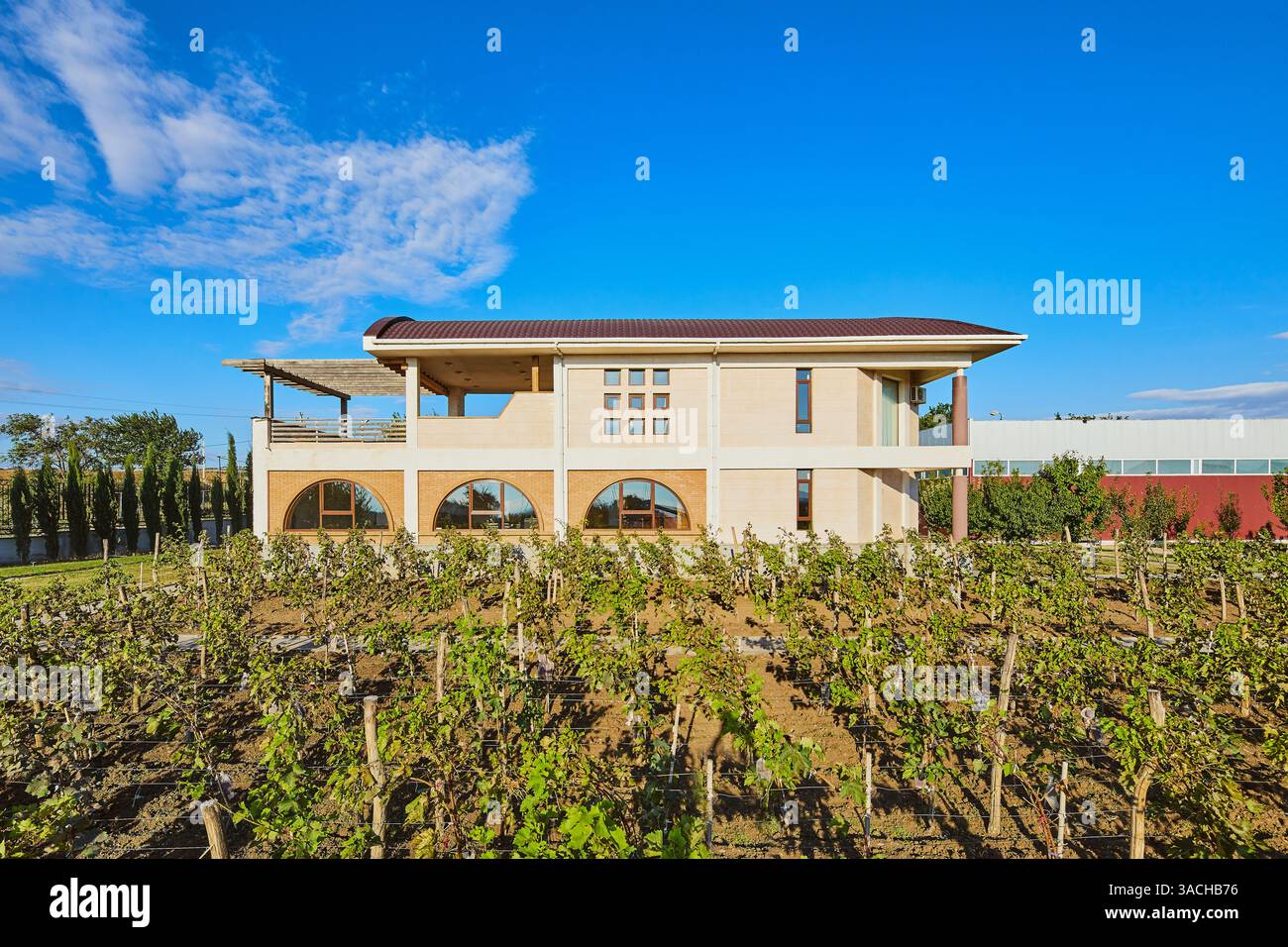 Stunning Vineyard Estate Surrounded by Lush Grapevines Under a Clear ...