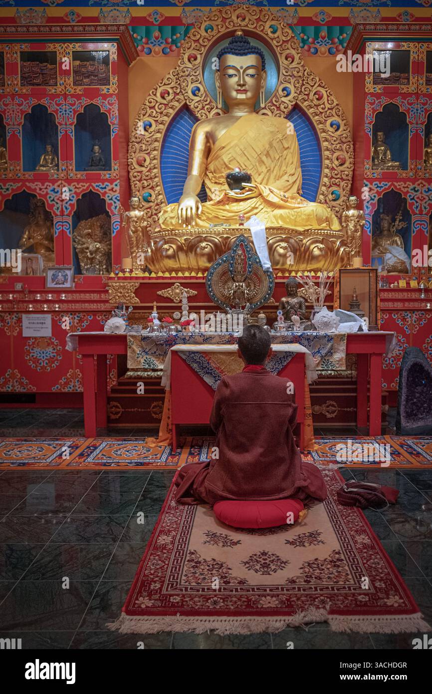 An anonymous nun meditating by a beautiful statue of the Meitreya ...