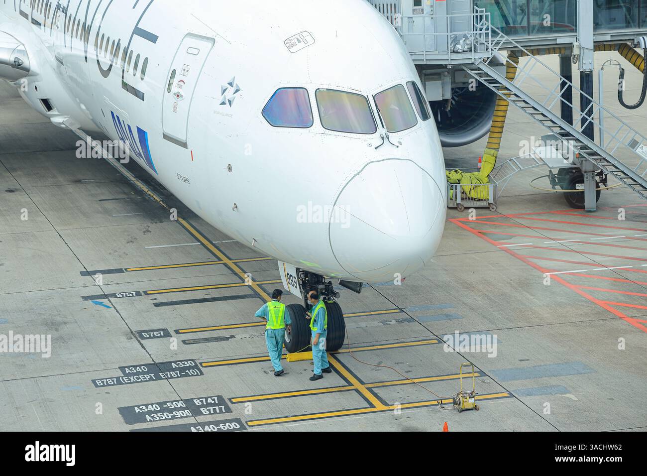 Close Up of ANA Boing 787 Head, on operated at Hong Kong International Airport in Hong Kong ...
