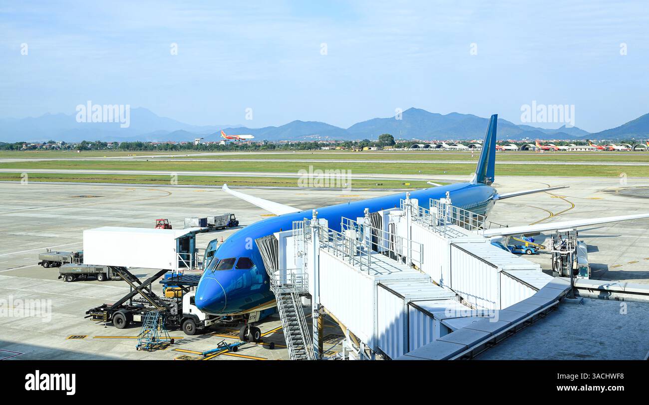 Process of Pre-flight service and handling. Luggage and catering ...