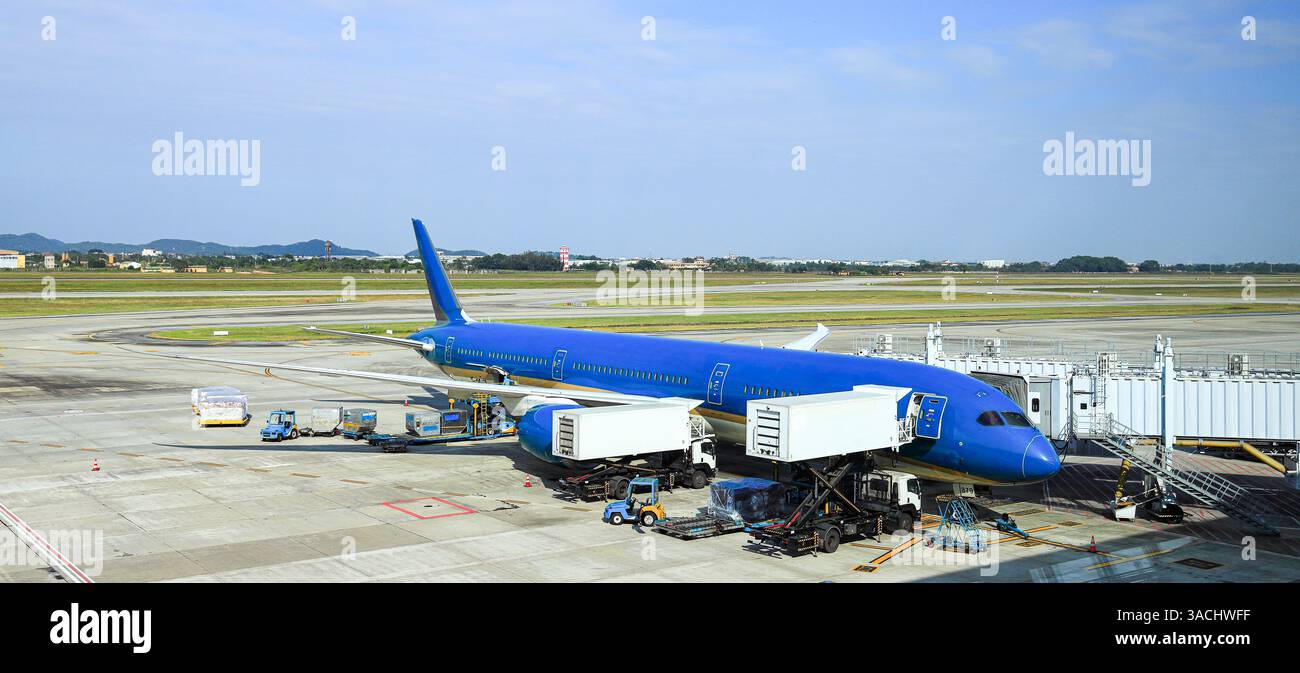 Process of Pre-flight service and handling. Luggage and catering ...