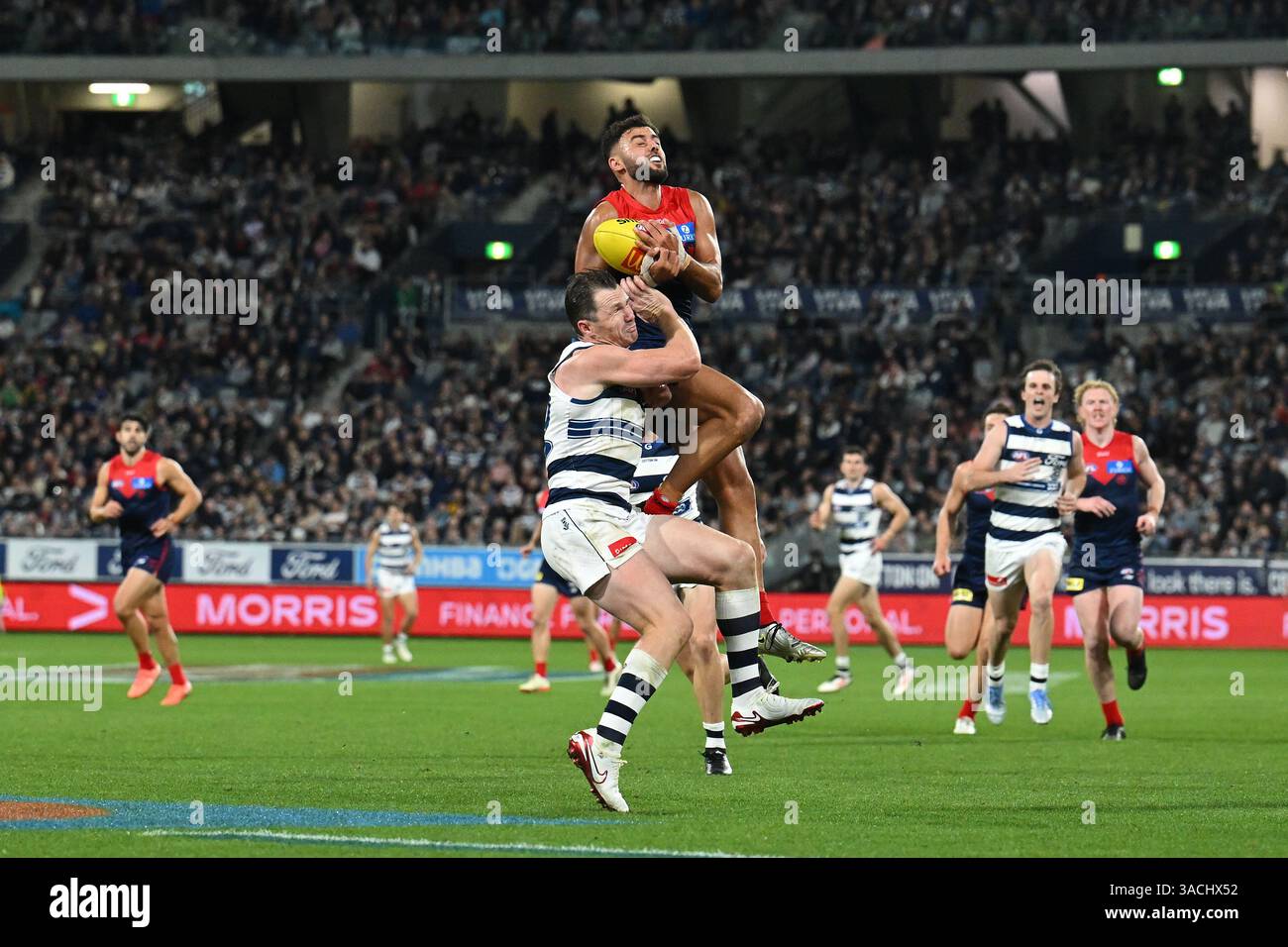 Christian Salem of the Demons marks the footy over Patrick Dangerfield ...