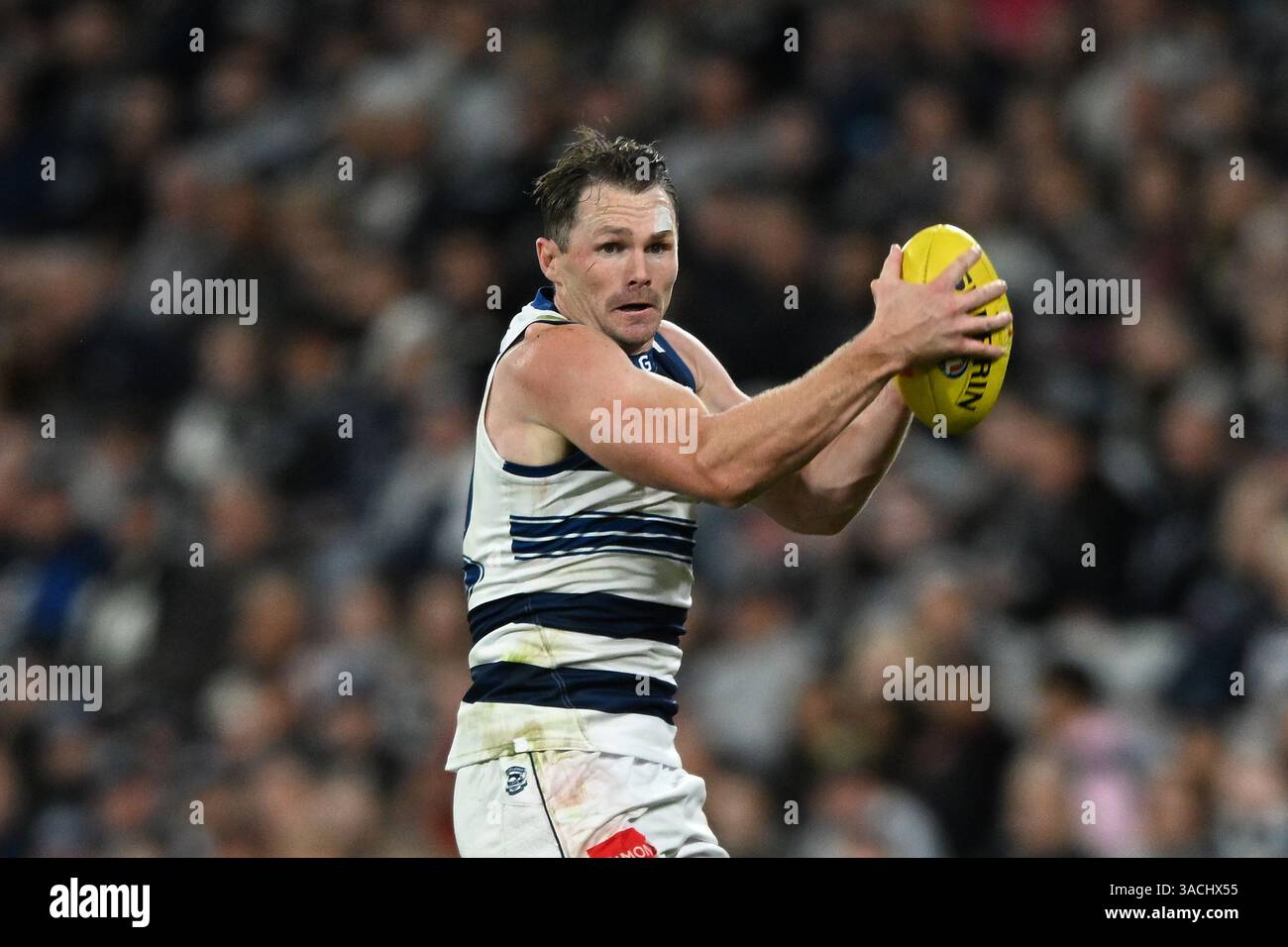 Patrick Dangerfield of Geelong marks the footy during the AFL Round 4 ...